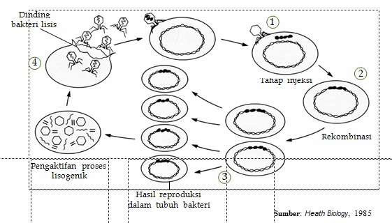 mengenal biologi kelas X