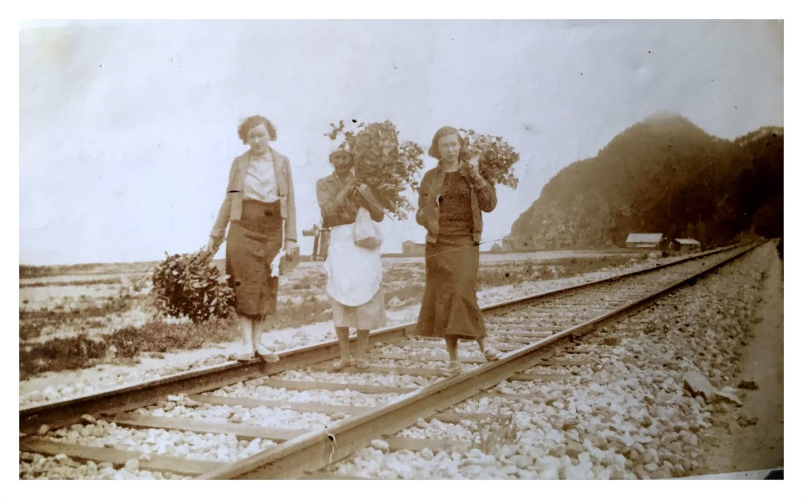 Mystery Snapshot Adventure: An Ancient Discovery from Harbin