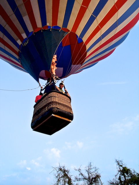 SATW Canada Travelling Teddy Bear Blog: Bears Get Around: Shreveport ...