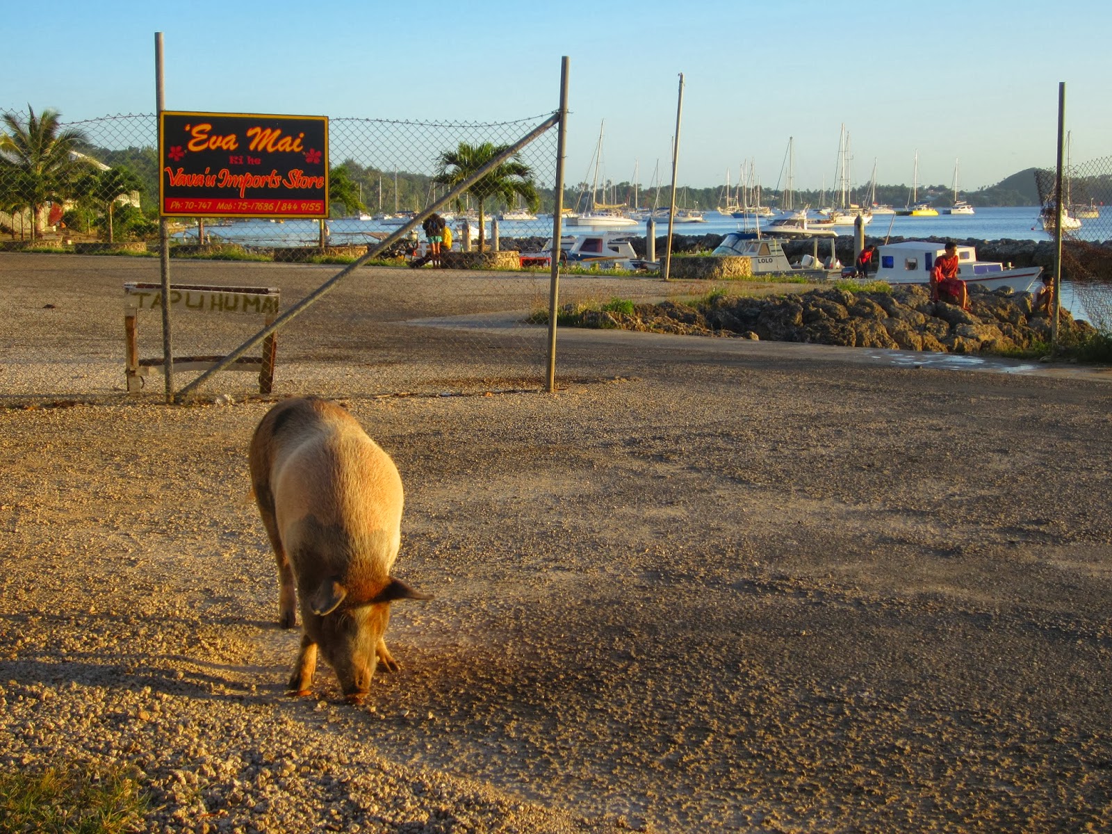 Gone with the backpack: TONGA. The last kingdom in South Pacific
