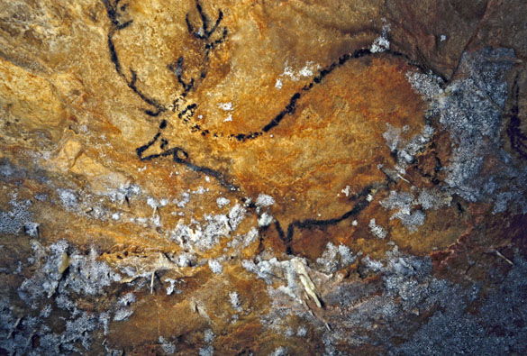 Freakadellen: Bisontes y caballos bajo el mar. La gruta Cosquer.