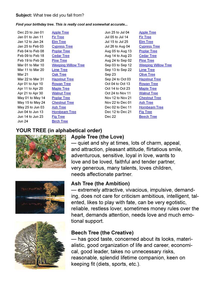 Fun Masti Entertainment: (°TaNoLi°) Types of Trees