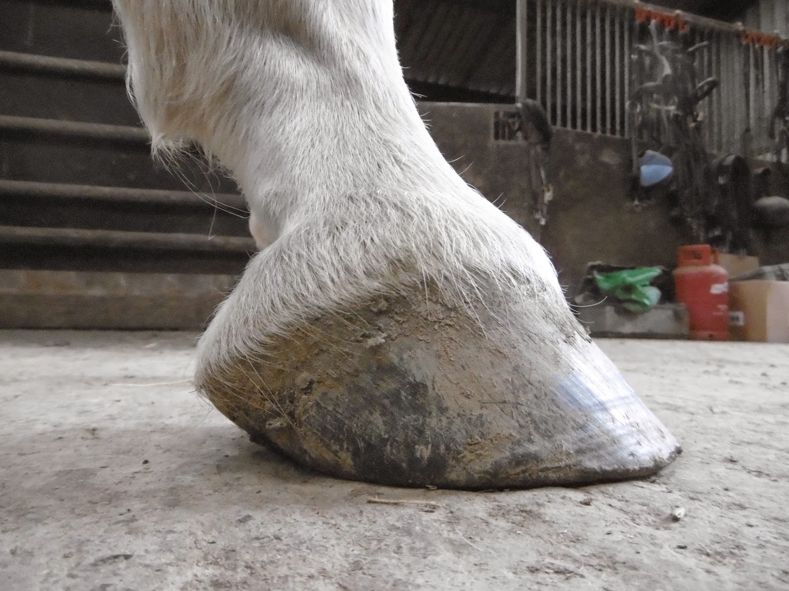 Rockley Farm: The inevitable hoof?