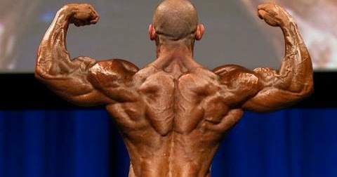 world bodybuilders pictures: Australia bodybuilder Ivan Sadiq