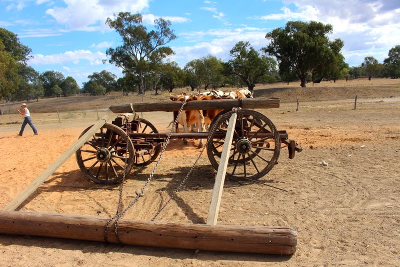 Travelling Around Australia: White Cliffs Outback NSW to Charleville ...