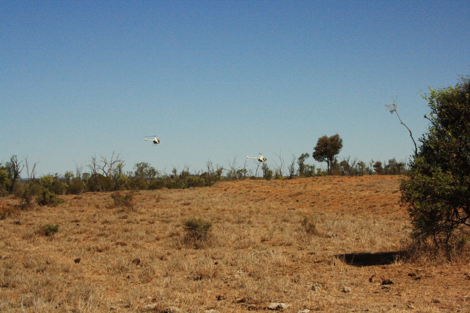 Australia: Outback farming photos