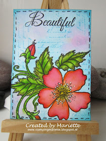 Magenta: ATC Flower - ATC fleurs