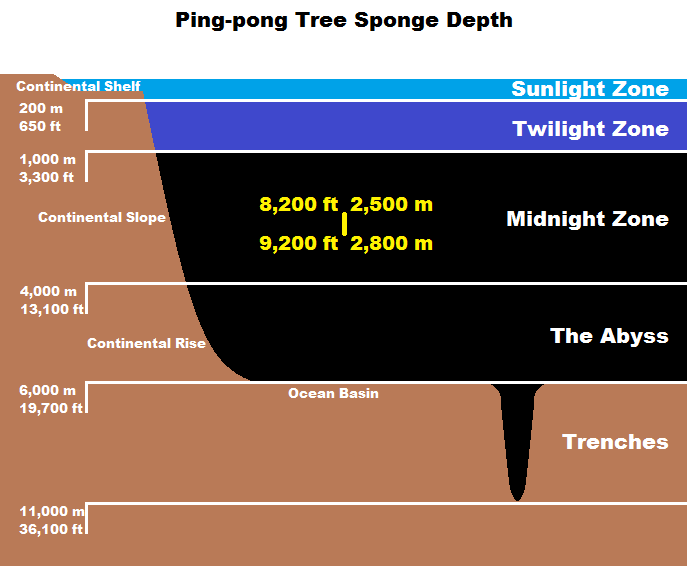 Real Monstrosities: Ping-pong Tree Sponge
