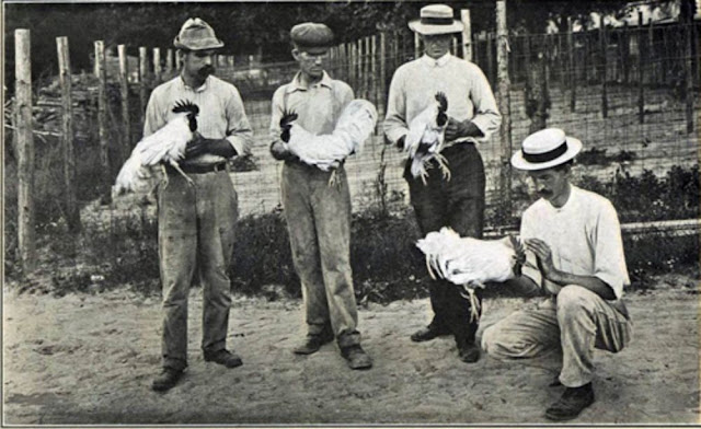 12 Crazy Facts About Life in the 1910s America ~ Vintage Everyday