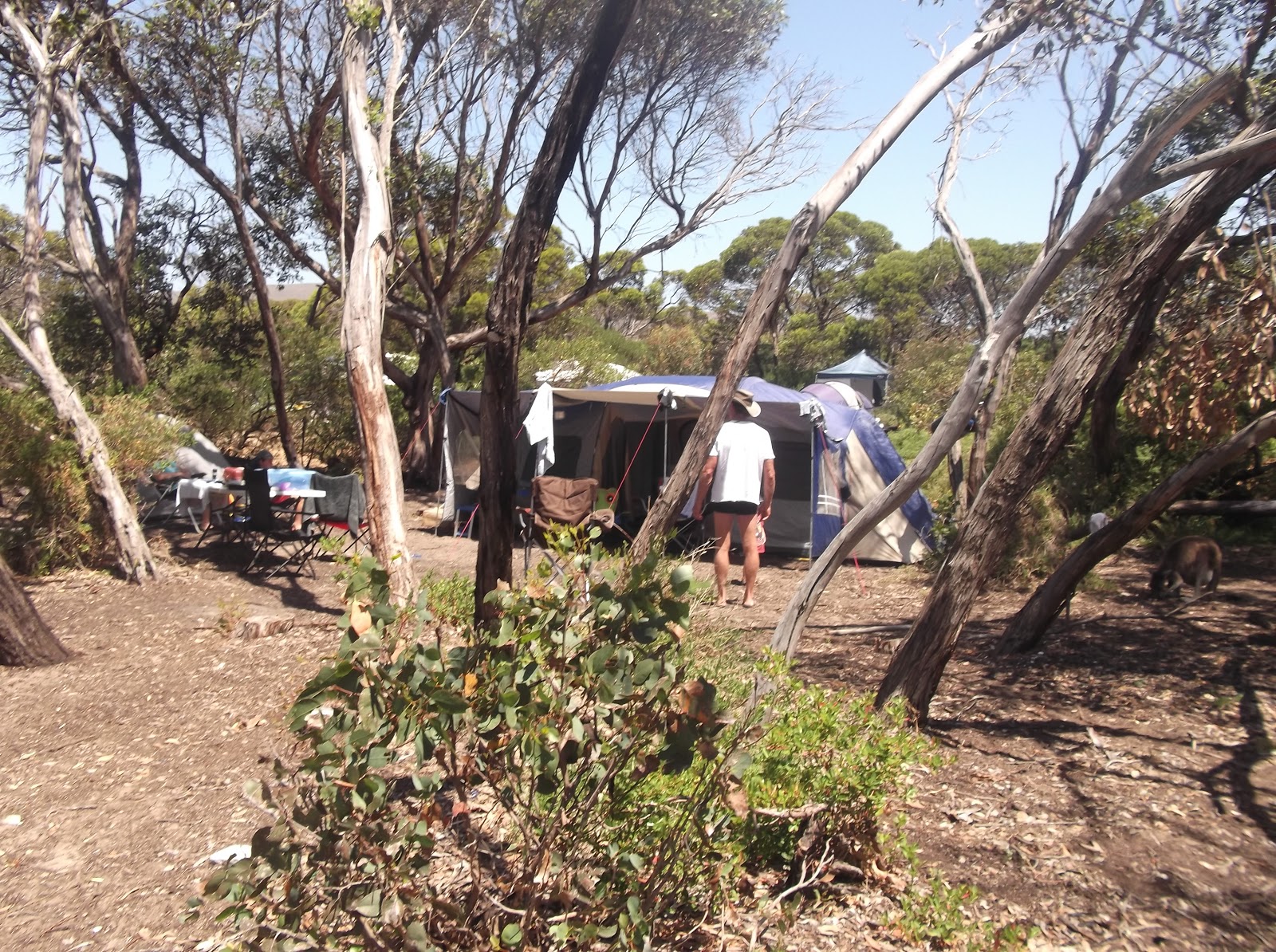 Family Camping WA: Cape Riche 2012