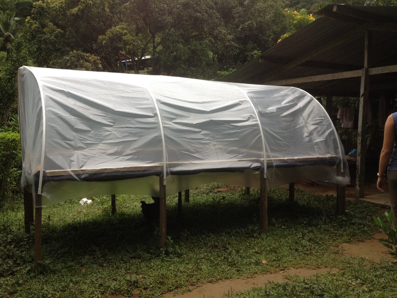 Adventures to a Sustainable Future: Coffee Solar Dryer Project