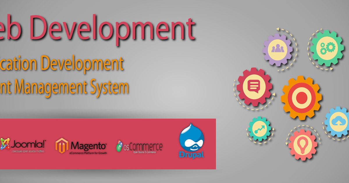 Web Development Services in Delhi Ncr