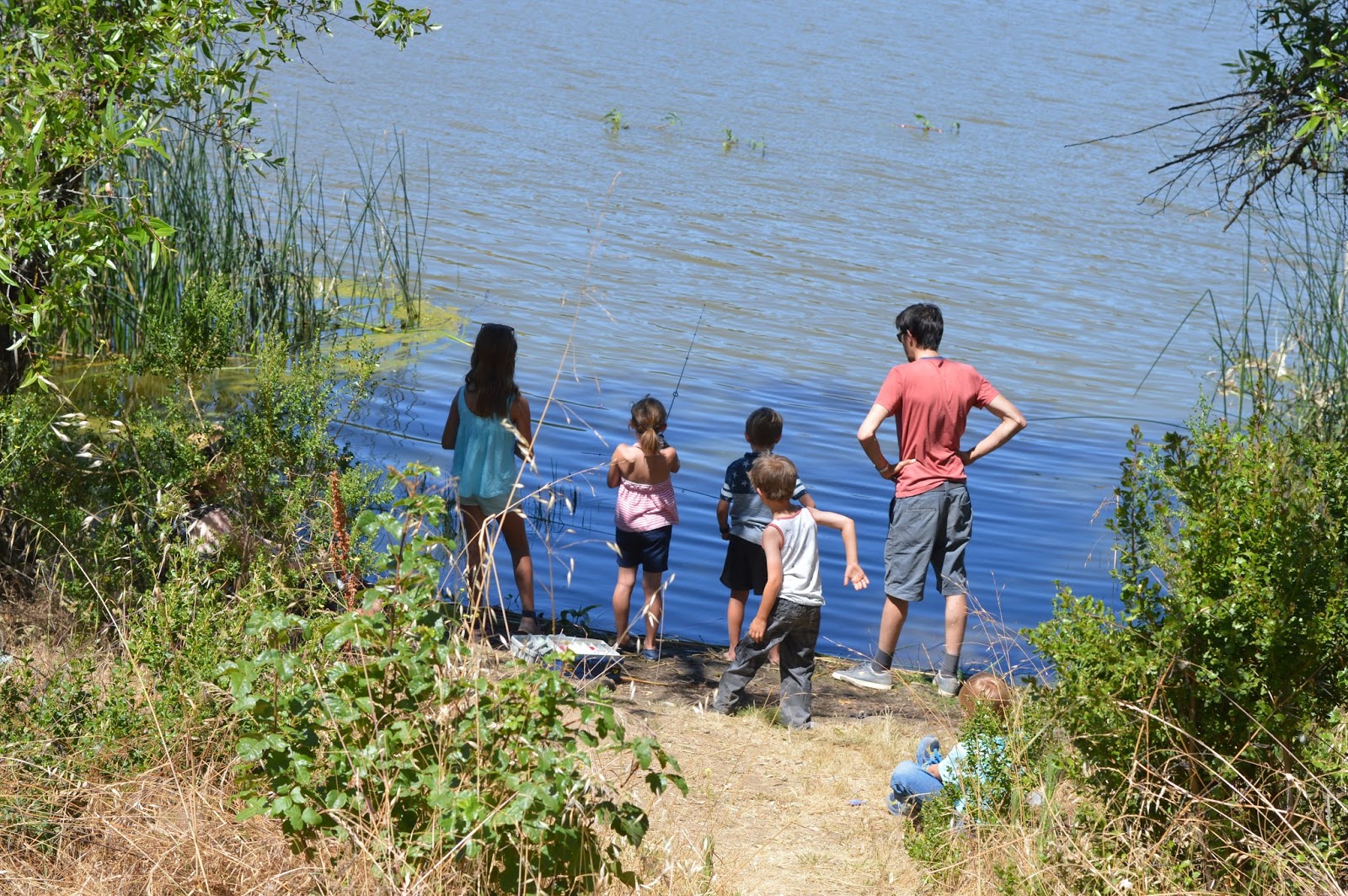 Musings on the Simple Life: Camp Out