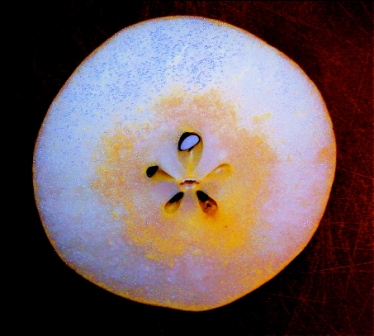 A Simple Explanation of Absolutely Everything: Toroidal Patterns in Fruit