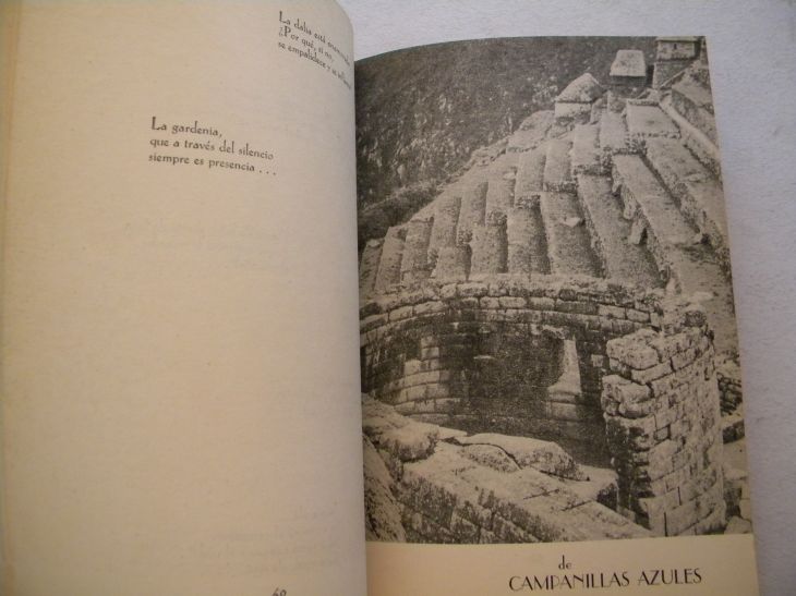 Fenixitems: 95. Antologia poetica de Esther M. Allison