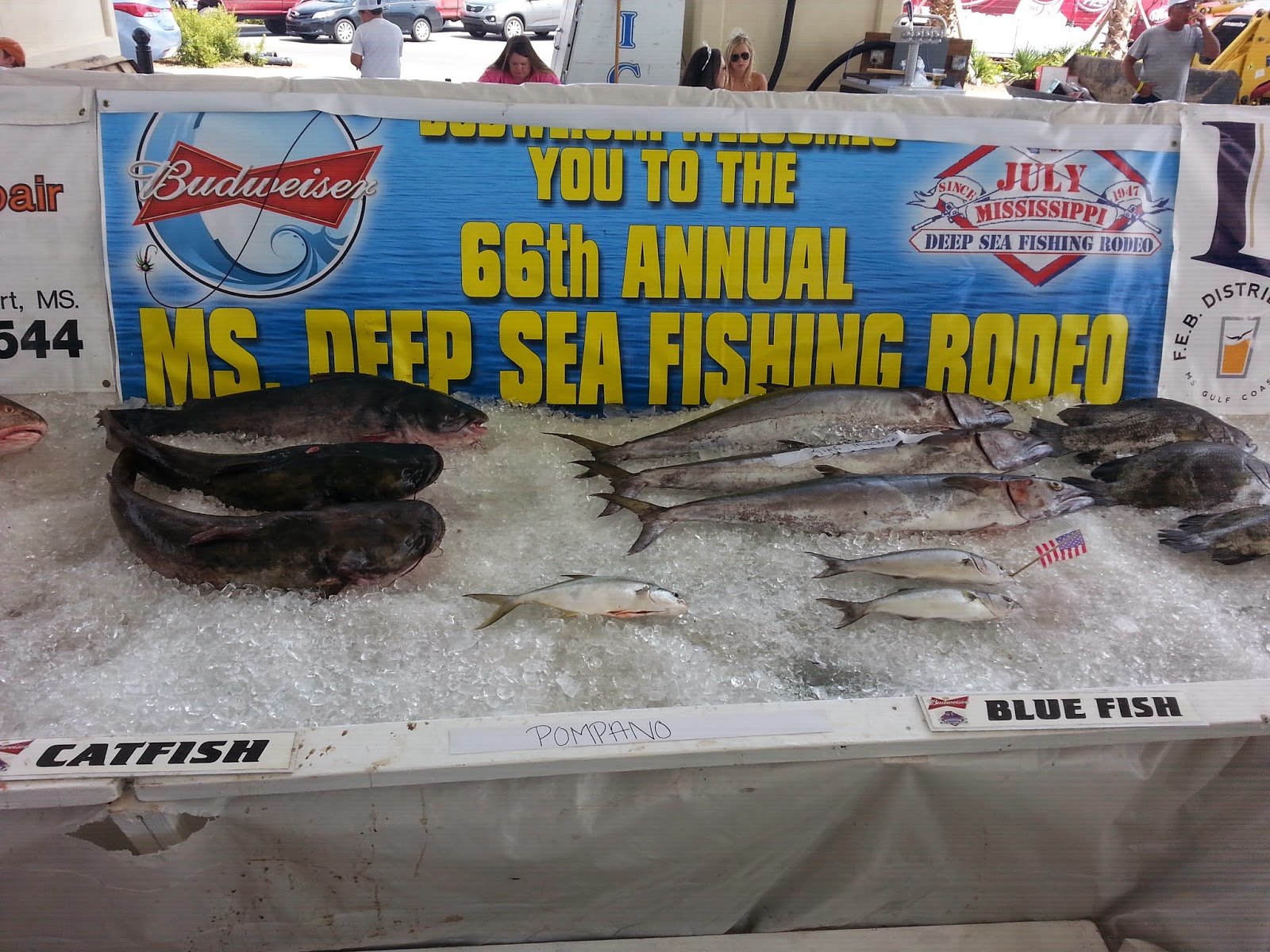 Mississippi Travels: The Deep Sea Fishing Rodeo (4 out of 5 stars)