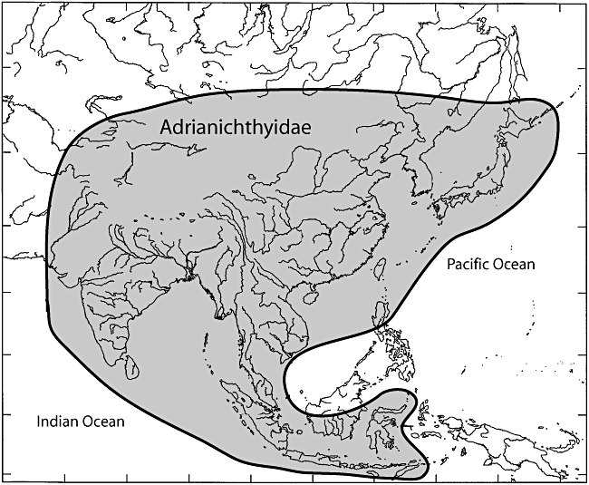 Species New to Science: [Ichthyology • 2008] Oryzias bonneorum • A ...