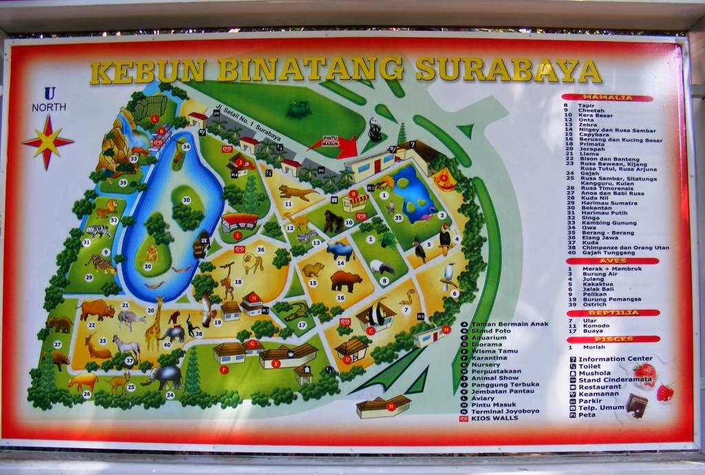 Surabaya Zoo.