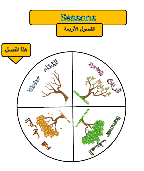 Seasons wheels