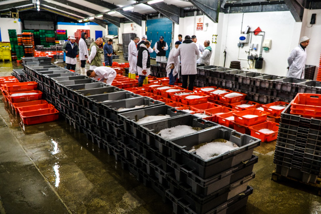 Through the Gaps! - Newlyn Fishing News: Captured on canvas, art ...