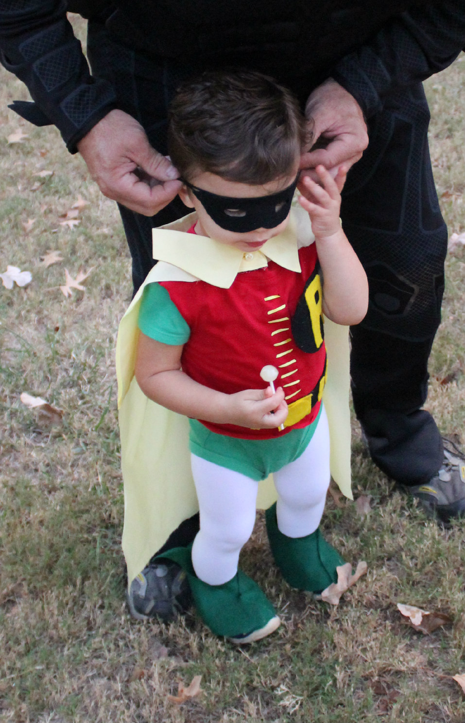 Homemade Robin Costume For Kids