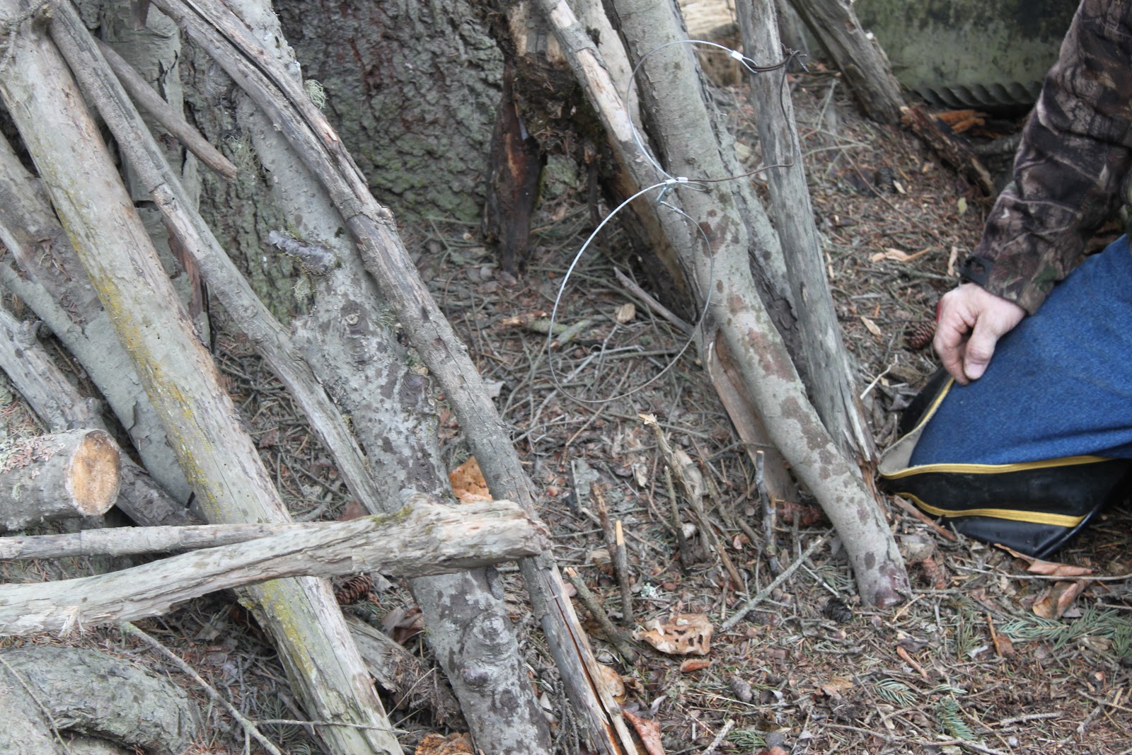 Welcome to Beaver Creek Homestead: Trapper Tales