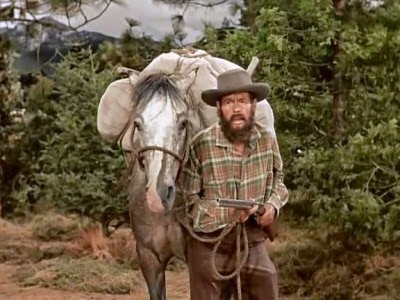 Comfort TV: Bonanza: A Classic for Every Season (Summer of MeTV)