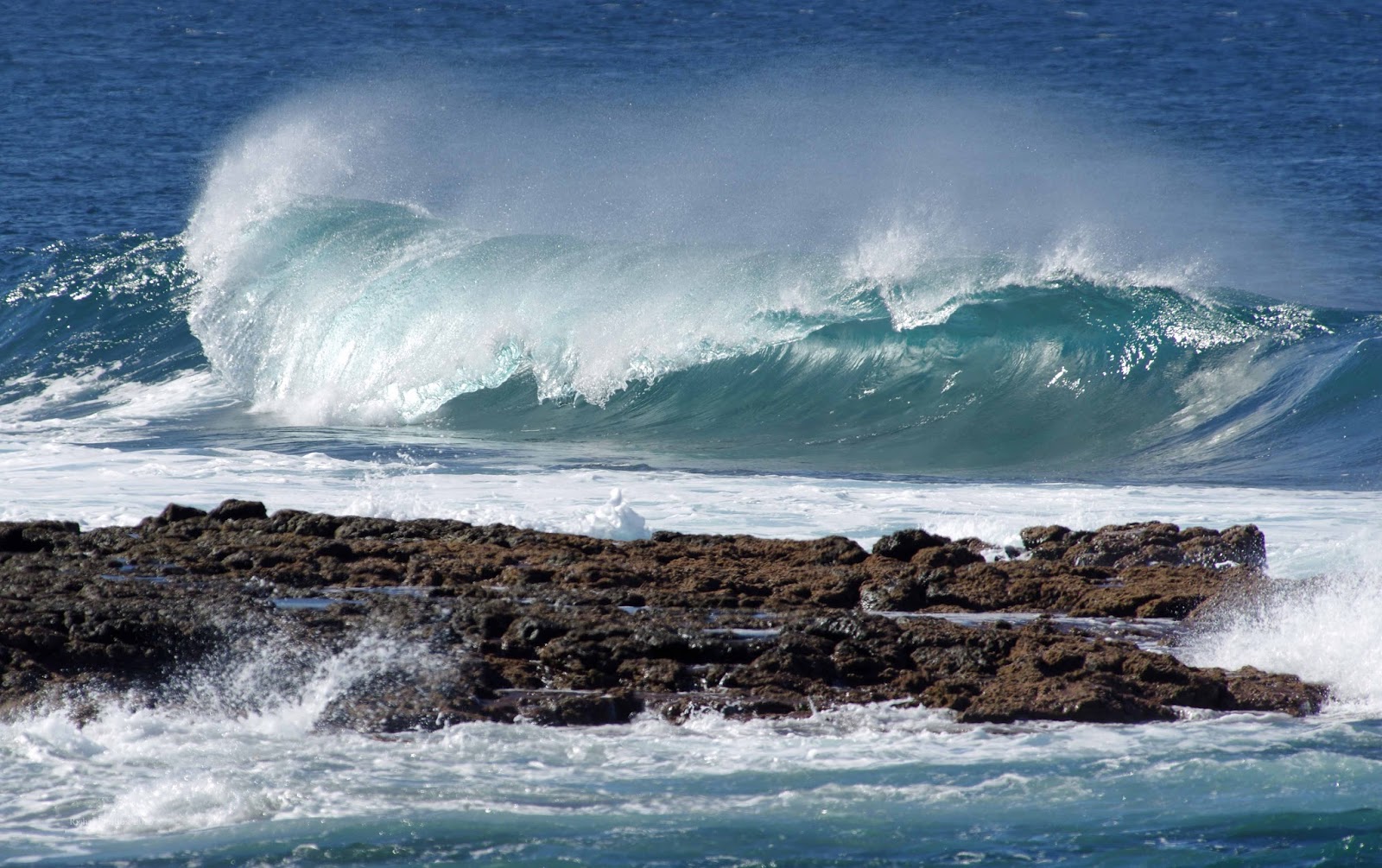 Essays and Diversions: Fuerteventura, the Canary Islands