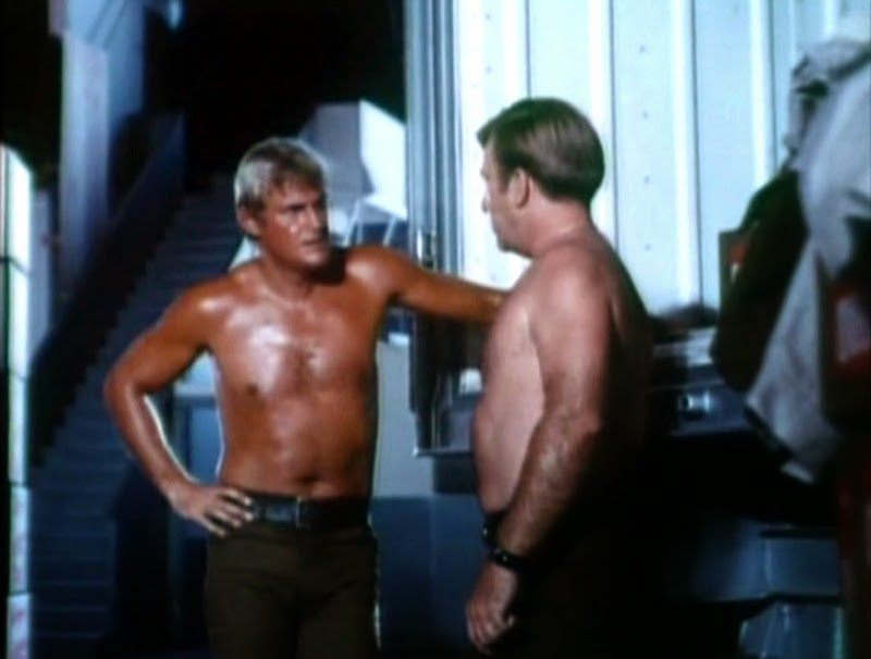 13: MOONFIRE - Marty Robbins - "The Wheel Of Life" (1970)