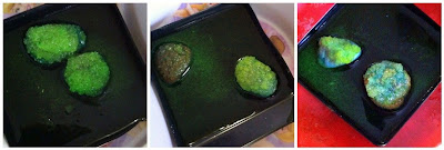 The Fantastic Five: Sedimentary, Igneous, and Metamorphic Rock Projects