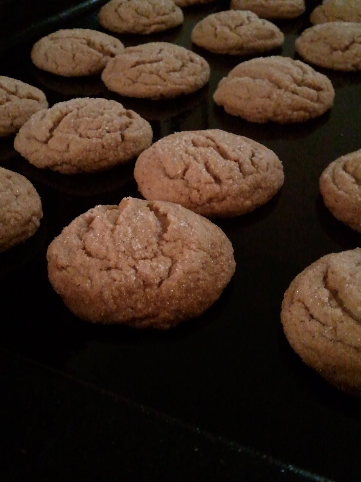 Provident Plenty: Soft Ginger Spice (Cry Baby) Cookies