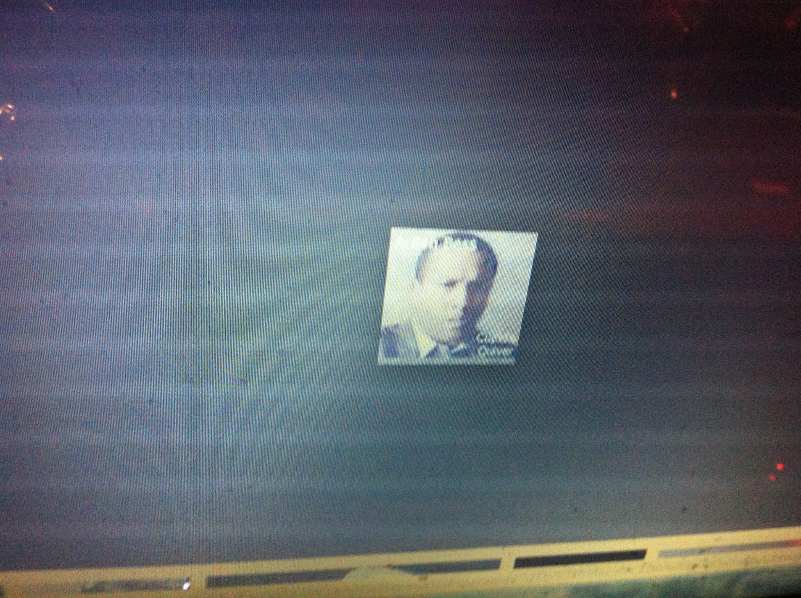 THE BLACK SOCIAL HISTORY:: BLACK SOCIAL HISTORY : AFRO-CANADIAN " ARDON ...