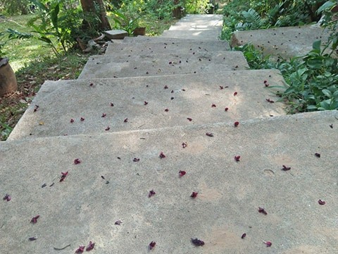 TING RAI BAY RESORT รีสอร์ทที่สวยที่สุดที่นึงในเกาะจำใกล้บ้านเรา