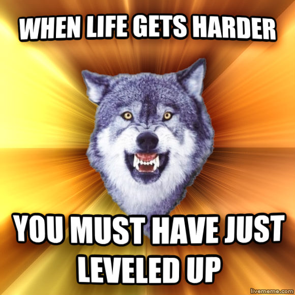 Week 6 Viral Campaigns | perezanthony012