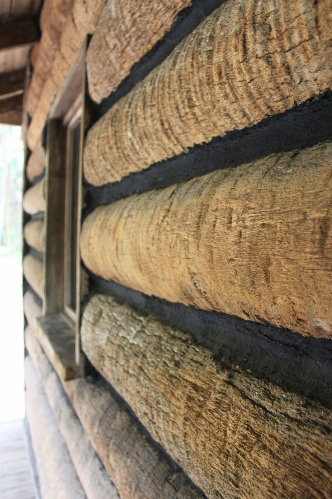 Life's a Trip: Myakka Palm Cabin