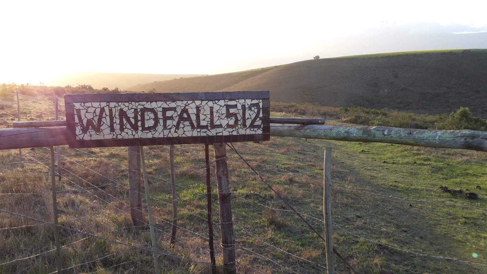 Our Adventures at Windfall Farm