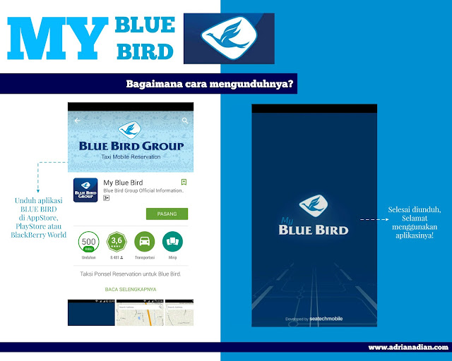 My Blue Bird App, Penghuni Setia Ponsel Pintarku