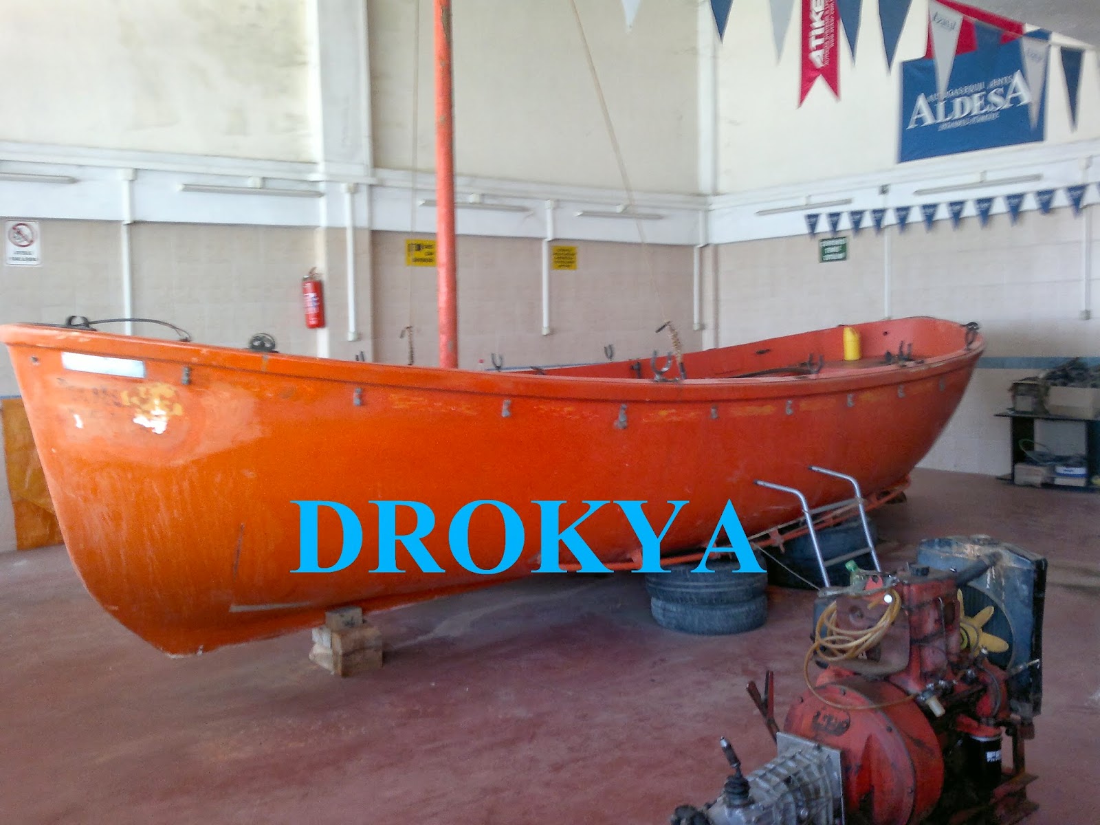 KUTUP YILDIZI ***: FİLİKA ÖZELLİKLERİ