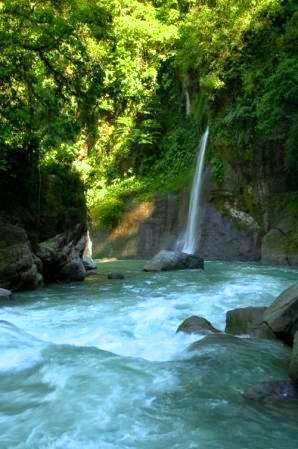 ECOSISTEMAS DE COSTA RICA: RESERVA FORESTAL RÍO PACUARE