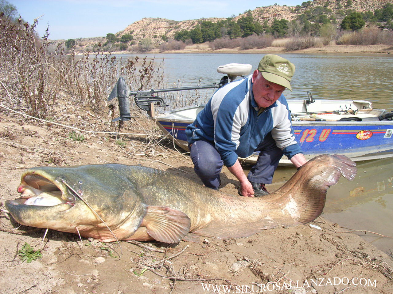 PESCA DEL SILURO EN EL EBRO: PESCA DEL SILURO A SPINNING