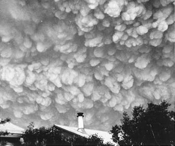 The Back Porch View: Mt St Helen - Memories, Destruction and Renewal