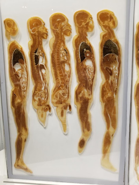 100 Days of Science-- #60 Hartford Science Museum Trip