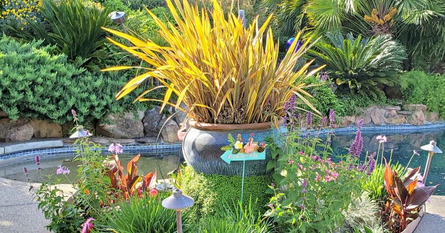 Blooms Around the Pool | Life and Linda