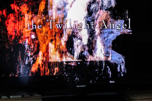 Chasing Santa Fe: SPIRIT OF A STUDIO - LINDA LESLIE & JOHN WITHAM