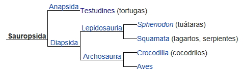 El Blog de Isa y Juan: 12/17/17
