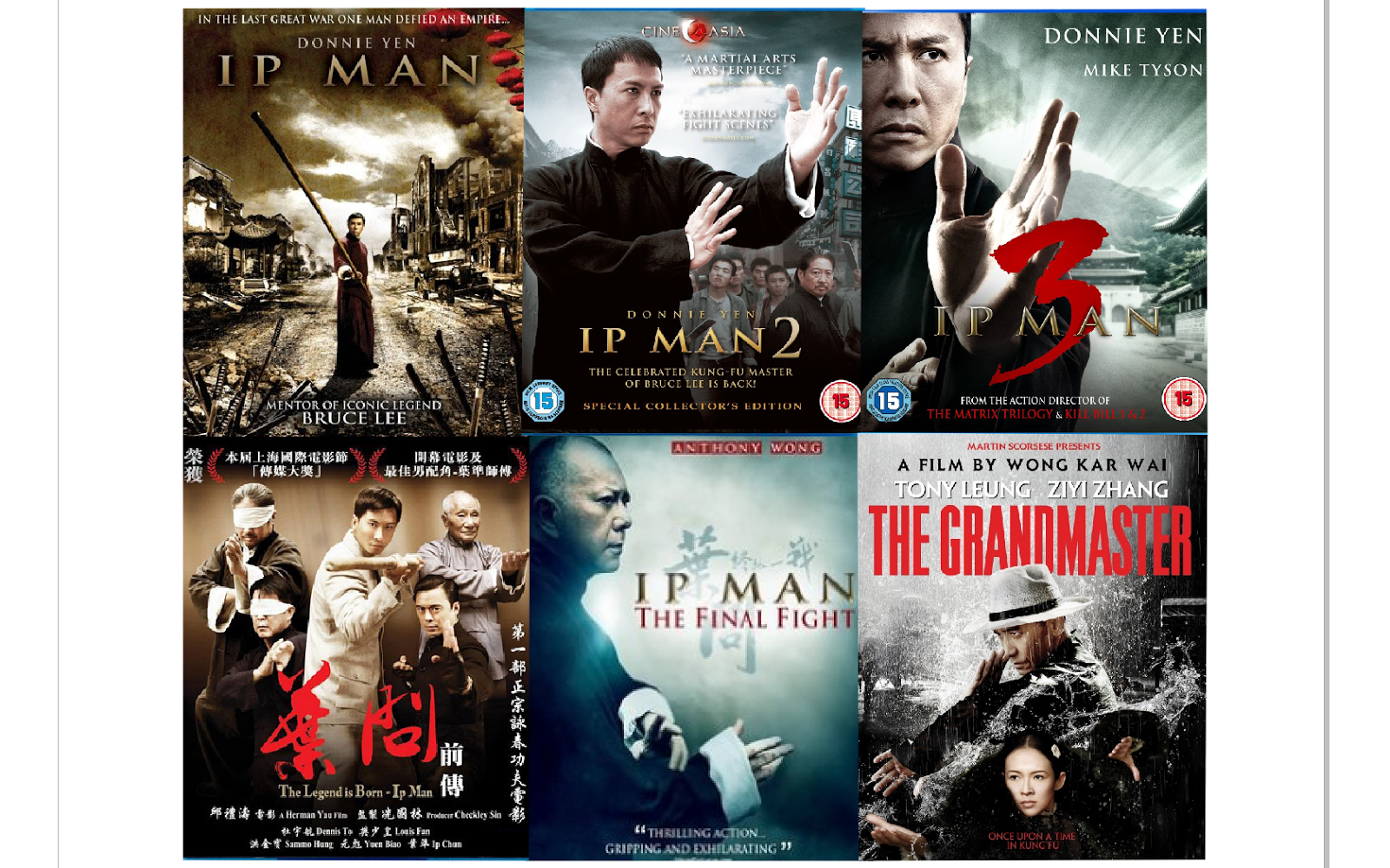 MYVTMI Belo Horizonte: Tributo ao Patriarca Ip Man