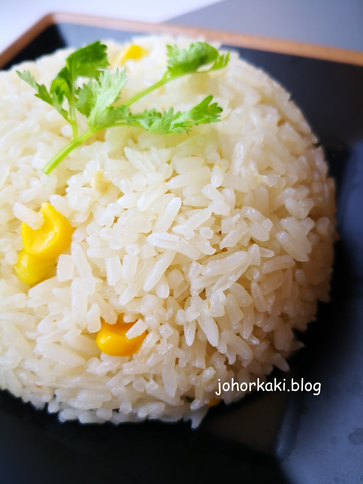 Chicky Fun Halal Singapore Chicken Rice @ Bagus. Northpoint City Mall ...