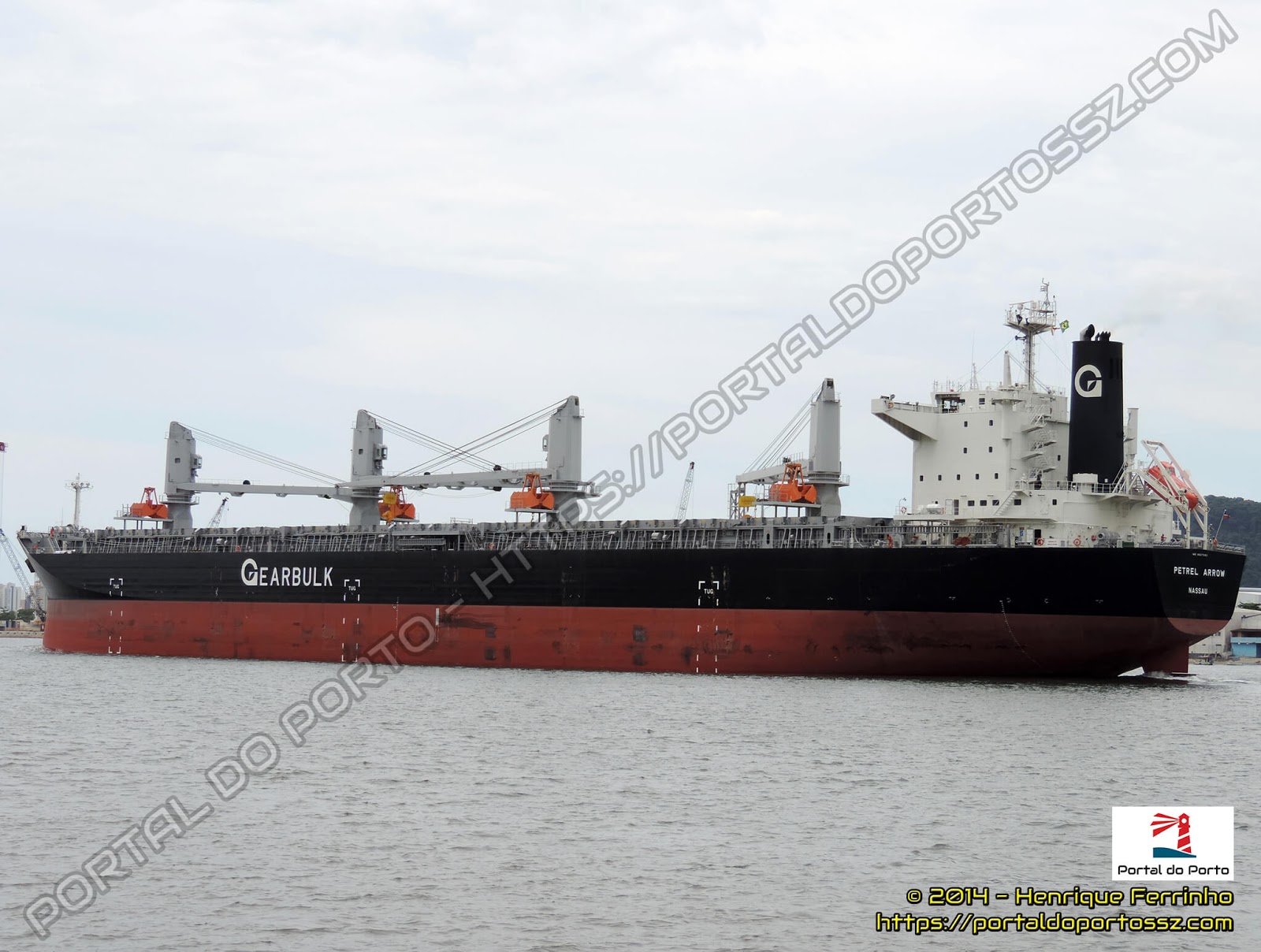 Petrel Arrow - Portal do Porto