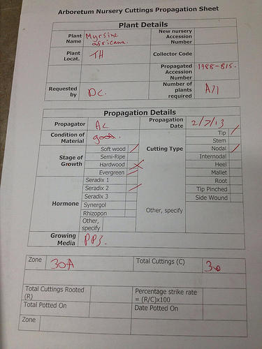Orto di Casa Cecconi: Cuttings for the Temperate House (Week 13, Tuesday)