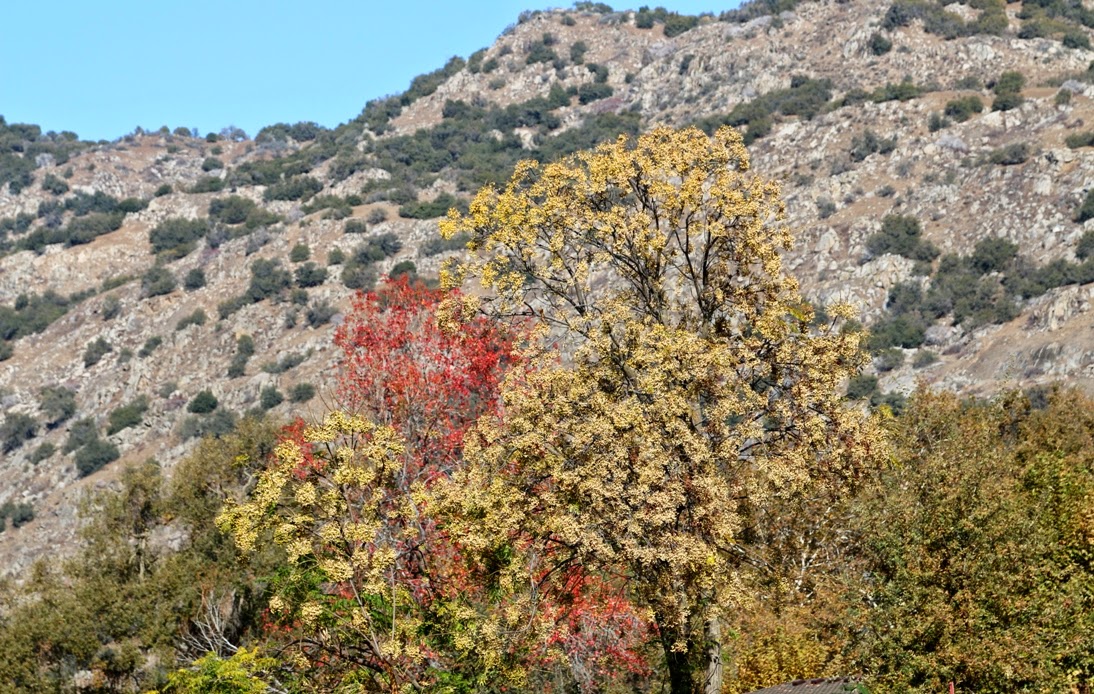 A photo, A thought............: Place: Beautiful San Joaquin and ...